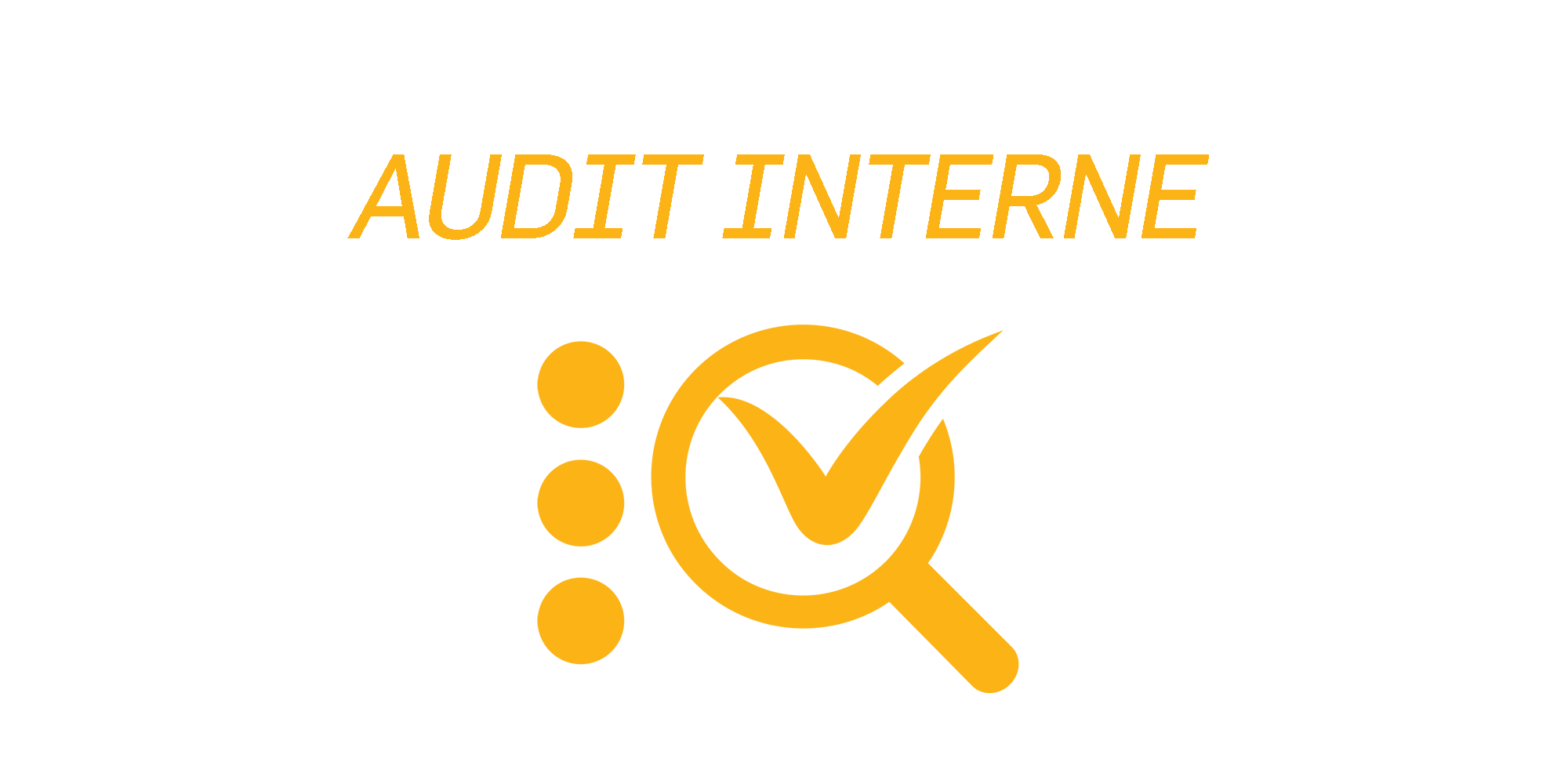 Accompagnement / Conseil & Audit QSE – Target 9000