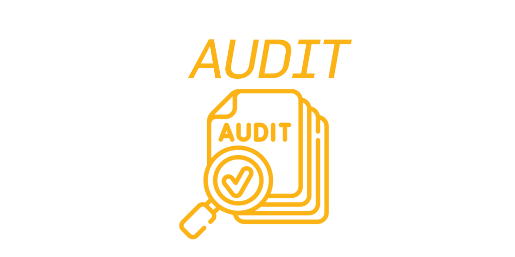 Audit MASE Blanc & Interne – AMS-Target 9000